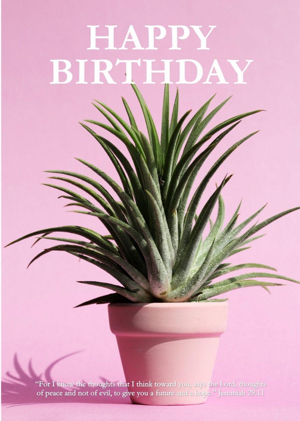 Potted Plants – Happy Birthday Cards Pack – Sublime Gifts