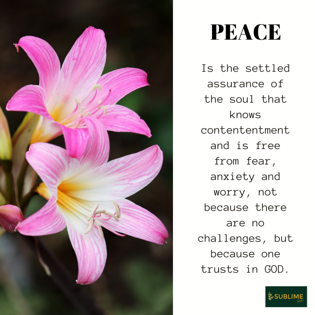 Peace Meme – Sublime Gifts