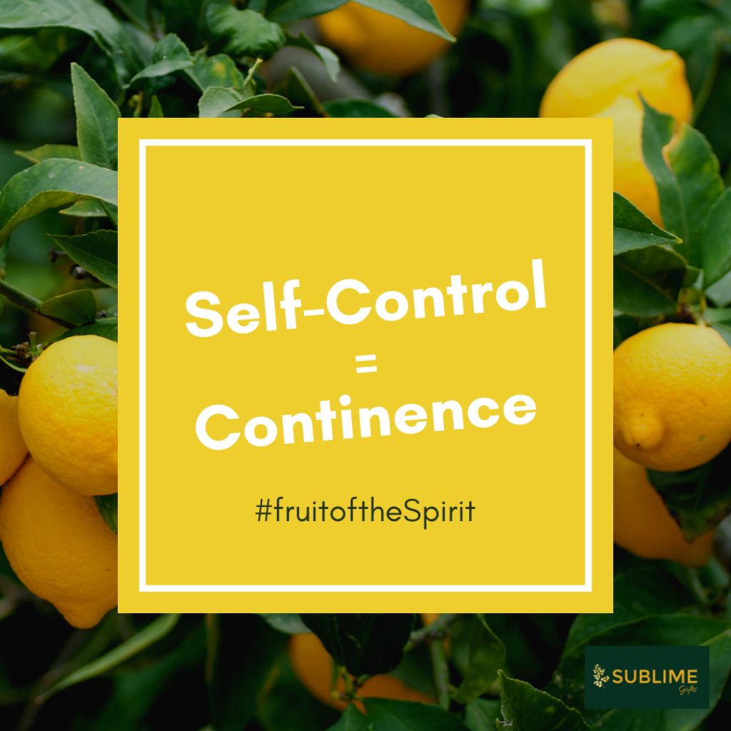 Self-Control Meme – Sublime Gifts